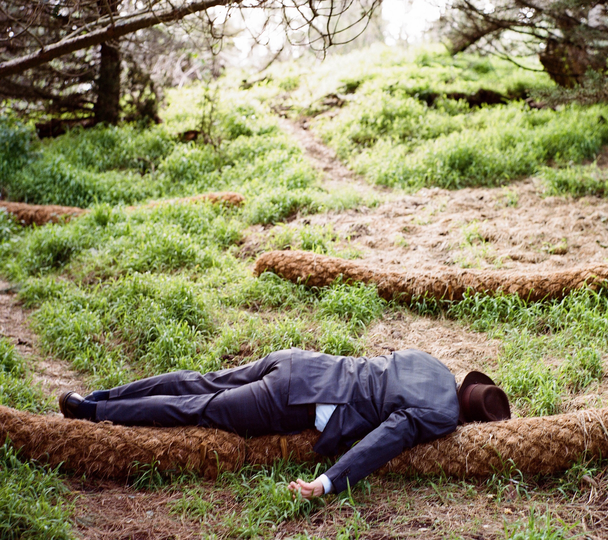 Virtual Book Launch: Poison for Breakfast by Lemony Snicket in ...