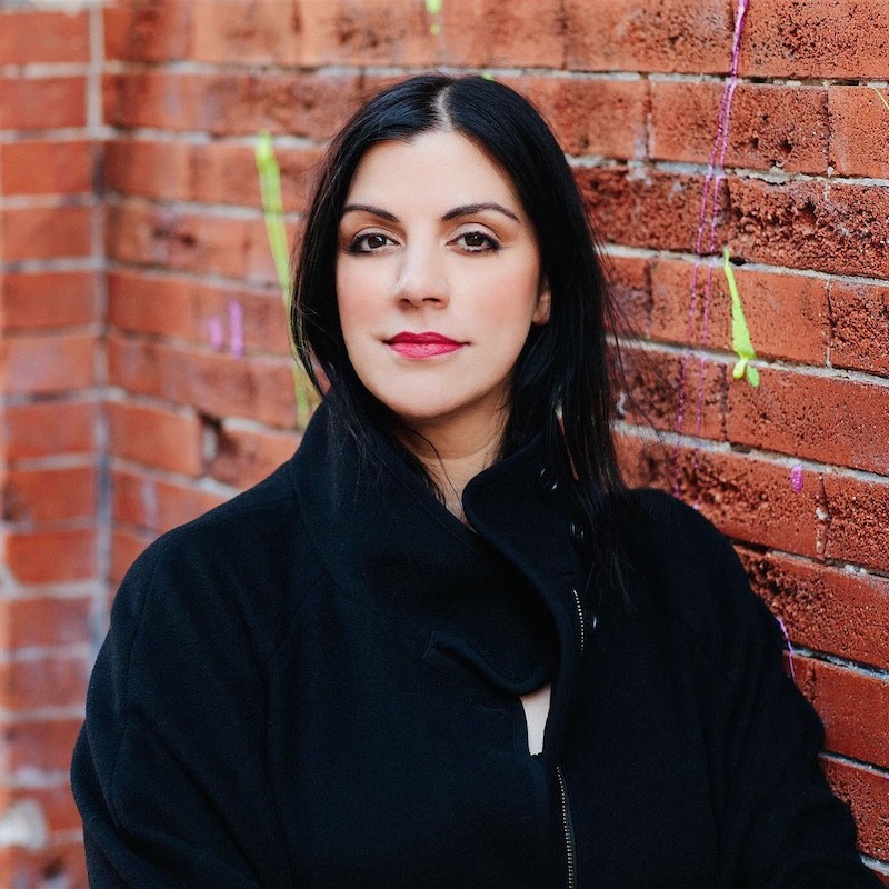 Book Launch: The Rise and Fall of Ava Arcana by Jennifer Banash in ...